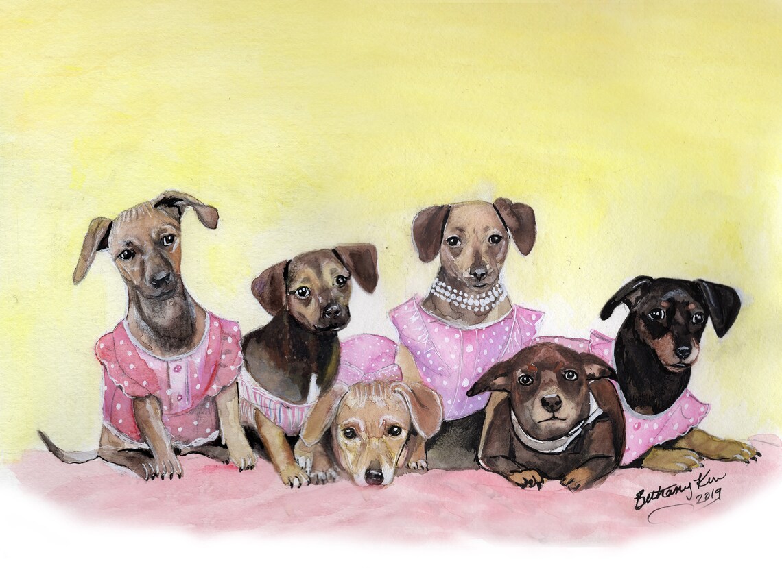 6 Dachshund Chihuahua Chiweenies Art Print by Bethany - Etsy