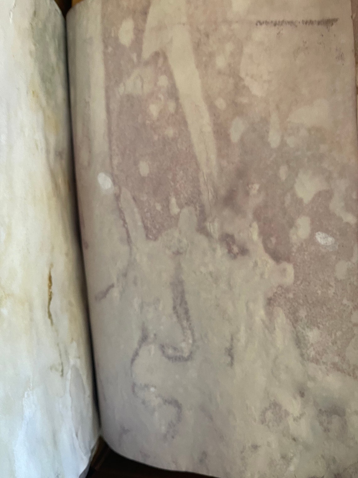 Eco Dyed Paper Packs - Etsy