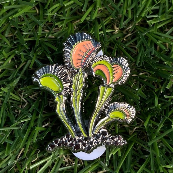 Venus Fly Trap - Etsy