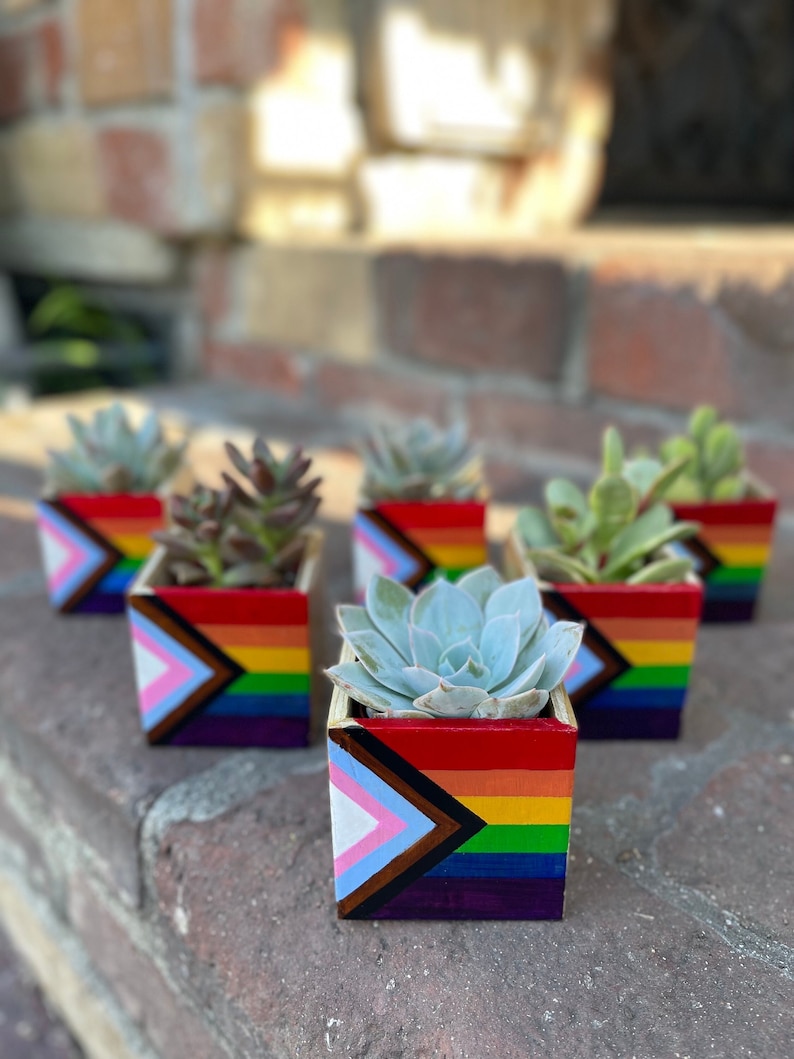 Progress Pride Flag Planter - Etsy