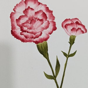 Original Painting/ Carnations/ Wall Art/ Painting - Etsy
