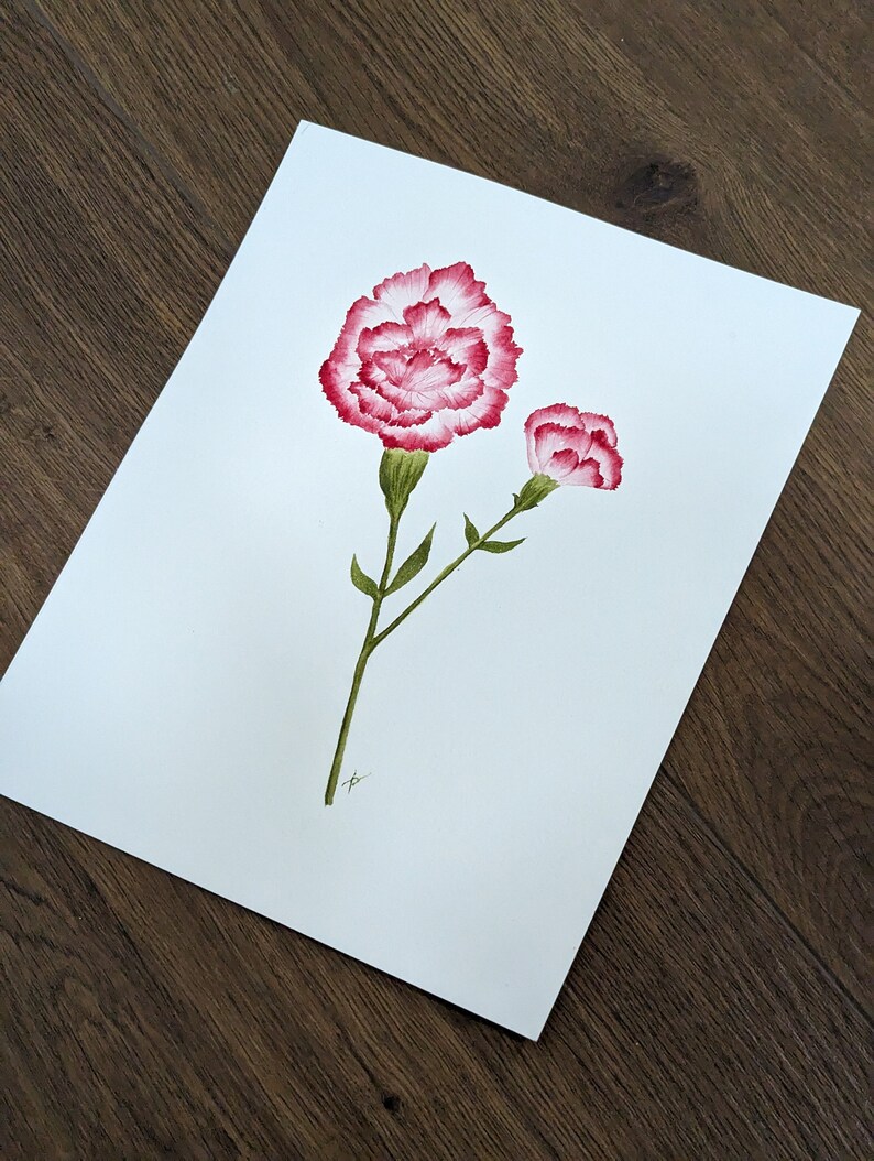 Original Painting/ Carnations/ Wall Art/ Painting - Etsy