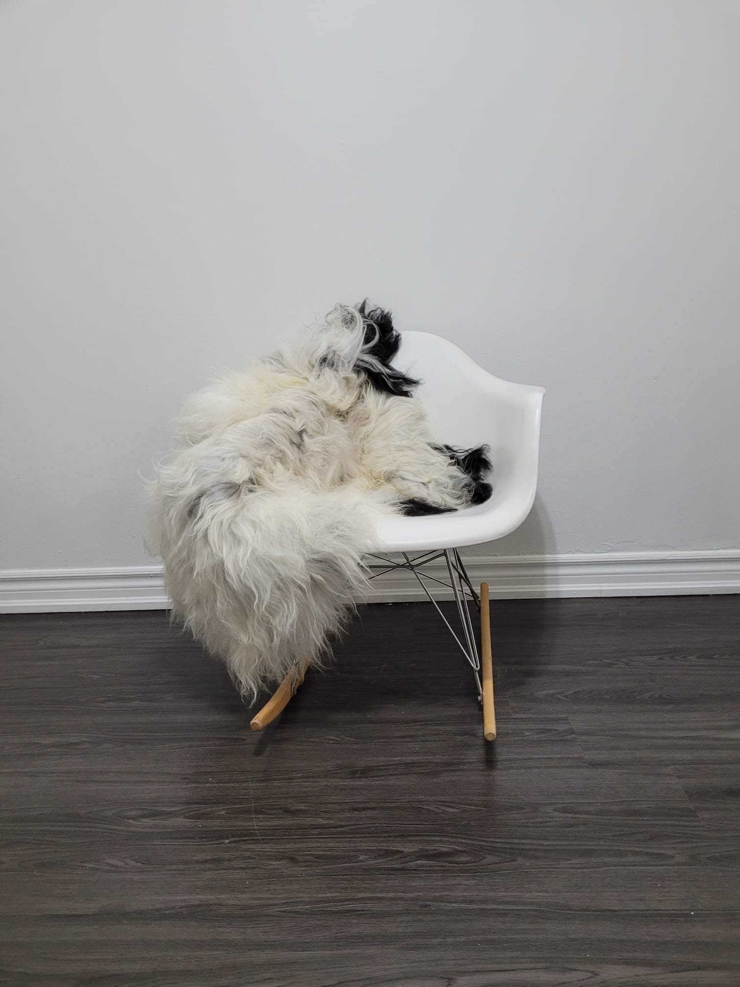 Genuine Sheepskin Rug / Real Sheepskin Rug / Icelandic - Etsy