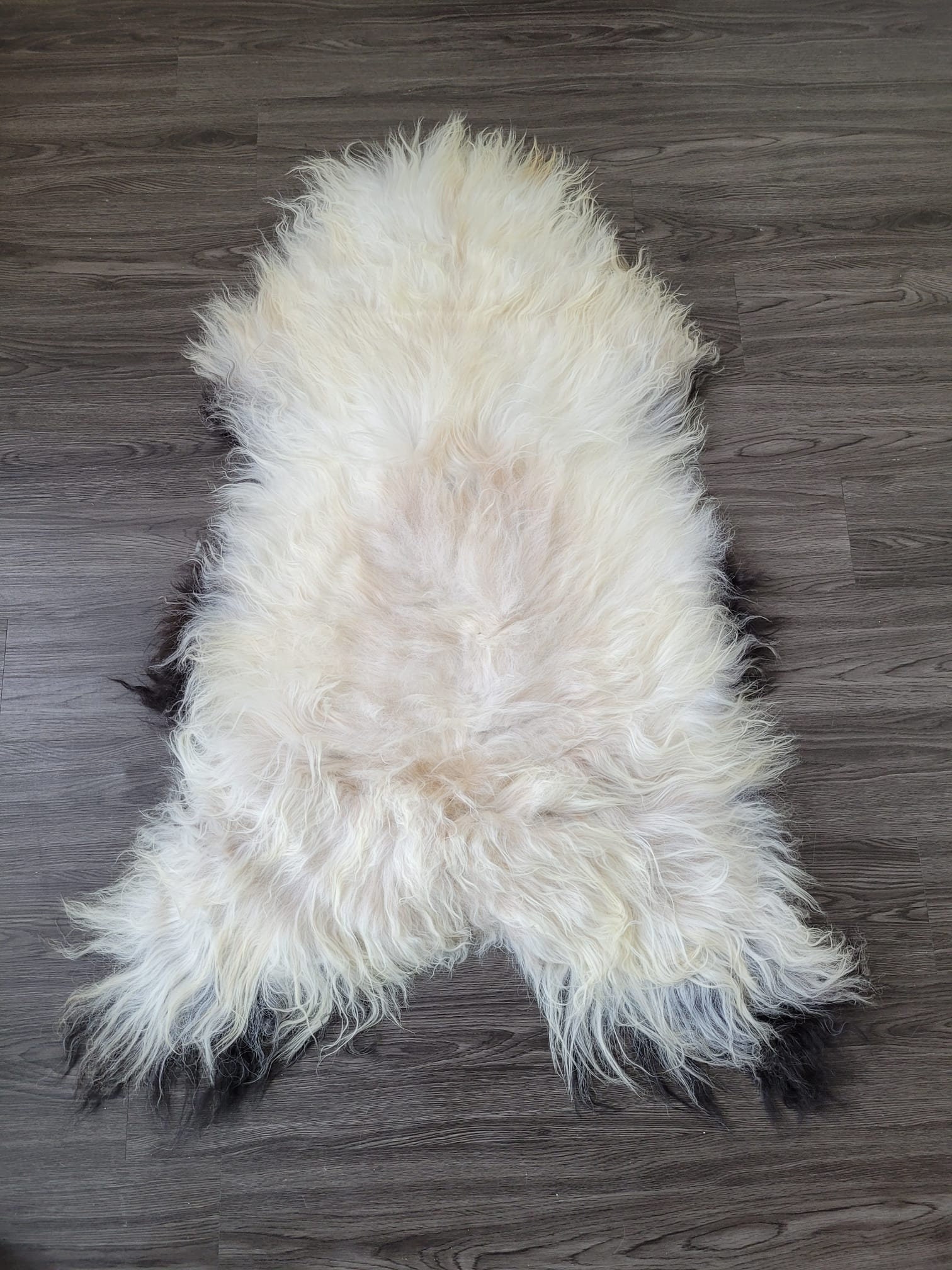 Genuine Sheepskin Rug / Real Sheepskin Rug / Icelandic | Etsy