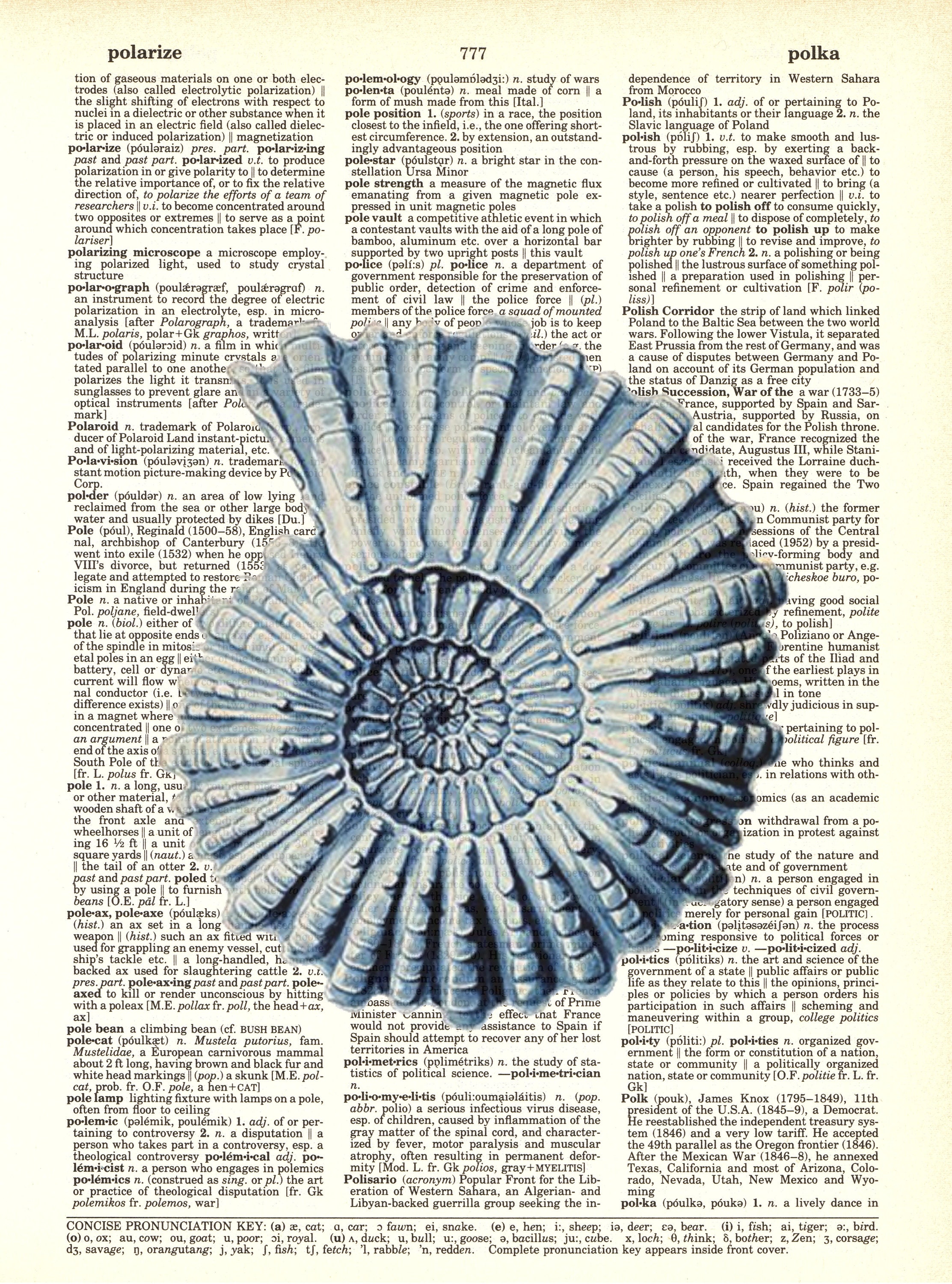 Blue Shell DICTIONARY ART PRINT Beach Wall Art Vintage Upcycled ...