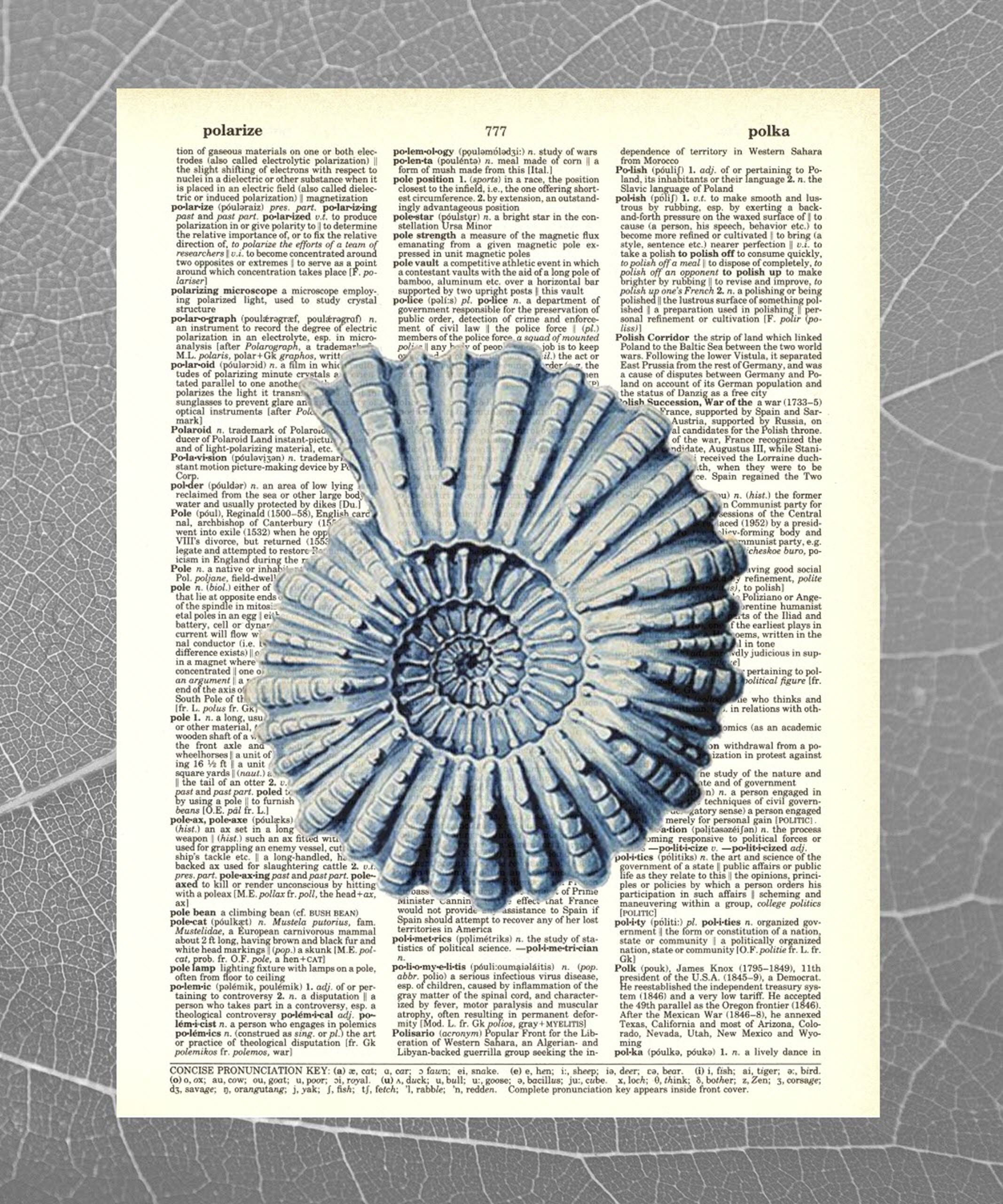 Blue Shell DICTIONARY ART PRINT Beach Wall Art Vintage Upcycled ...