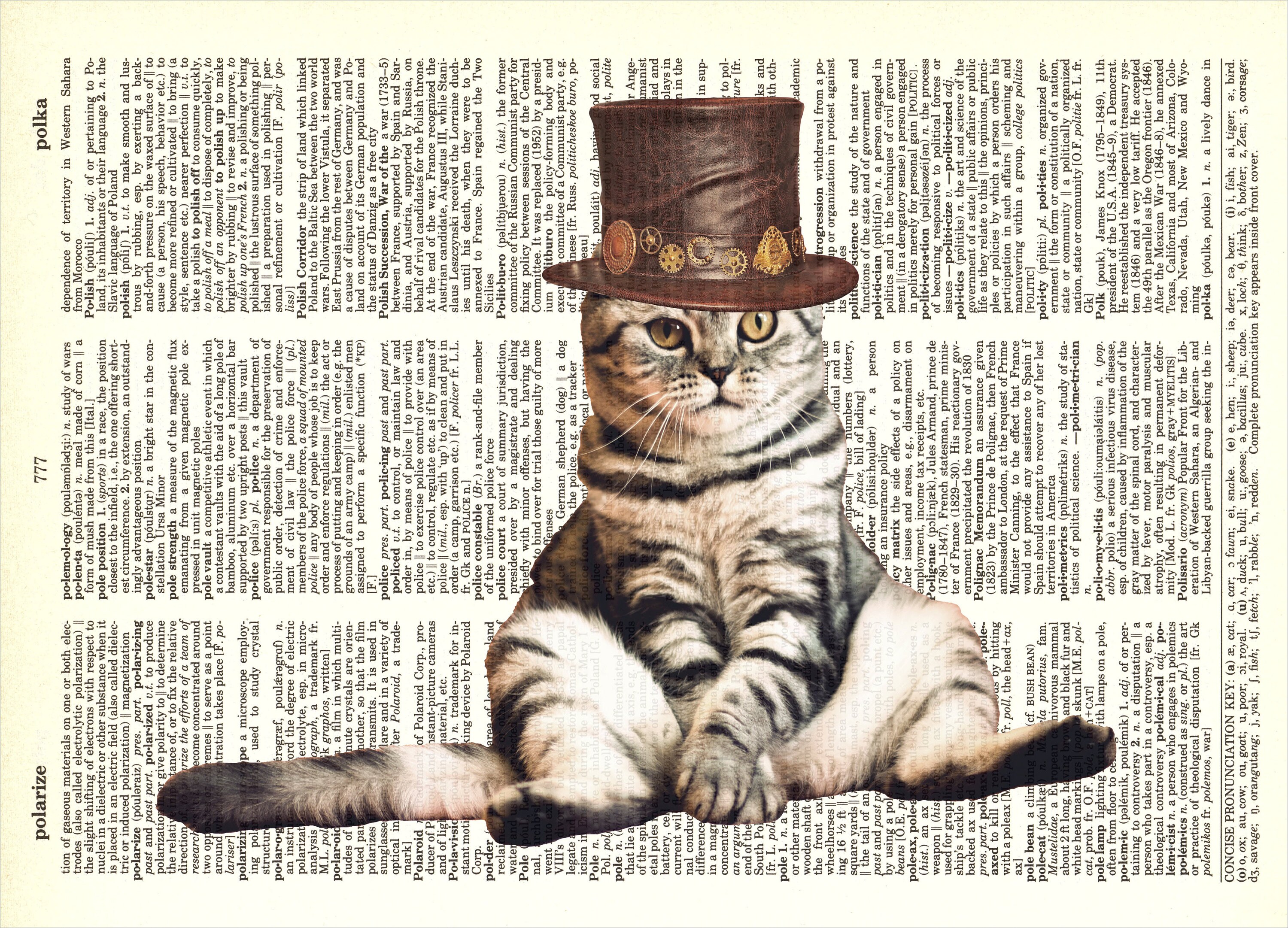 Cat in Hat Wall Art Print on ORIGINAL DICTIONARY PAGE Vintage Upcycled ...
