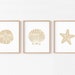 Neutral Coastal Wall Art PRINTABLE, Beige Watercolor Seashell Girls ...