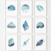 Blue Seashell Print Set of 9 Turquoise Watercolor Coastal - Etsy