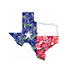 Texas Map Art Print, Flower State Wall Art, Watercolor Floral Lone Star ...