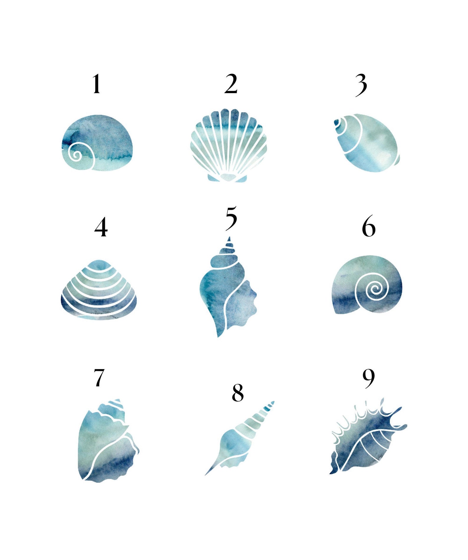 Blue Seashell Print Set of 9 Turquoise Watercolor Coastal - Etsy