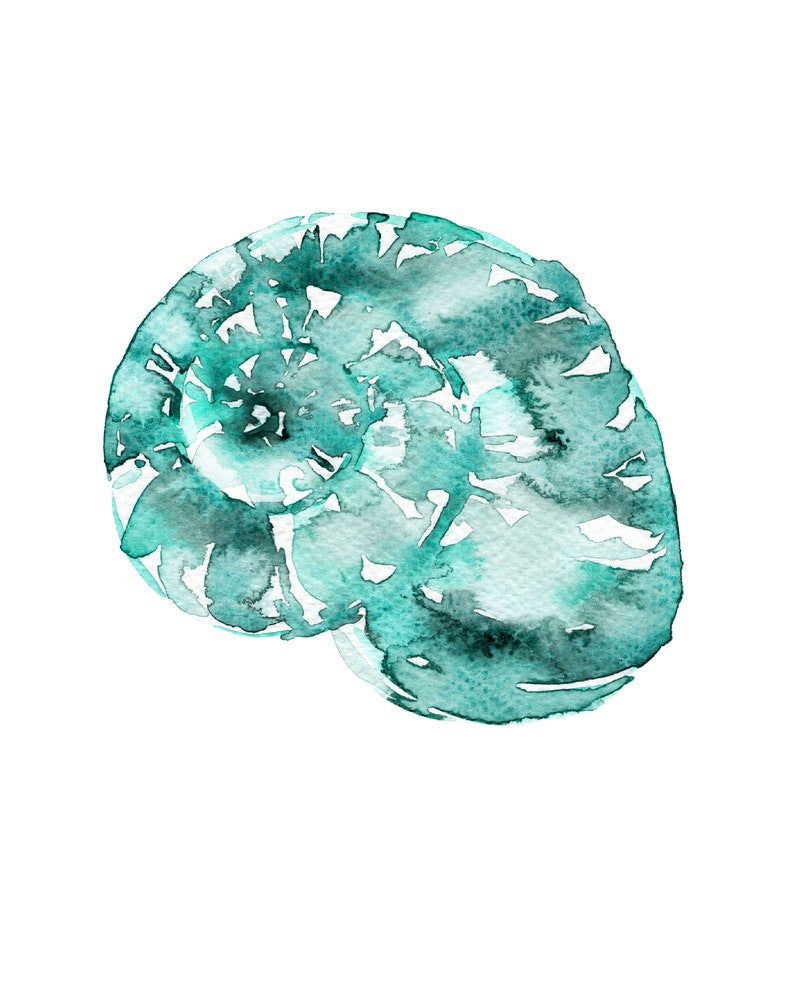 Teal Seashell Nautical Print Set Turquoise Modern Beach Home - Etsy