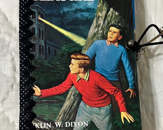 Hardy Boys Detective Themed Junk Journal - Etsy