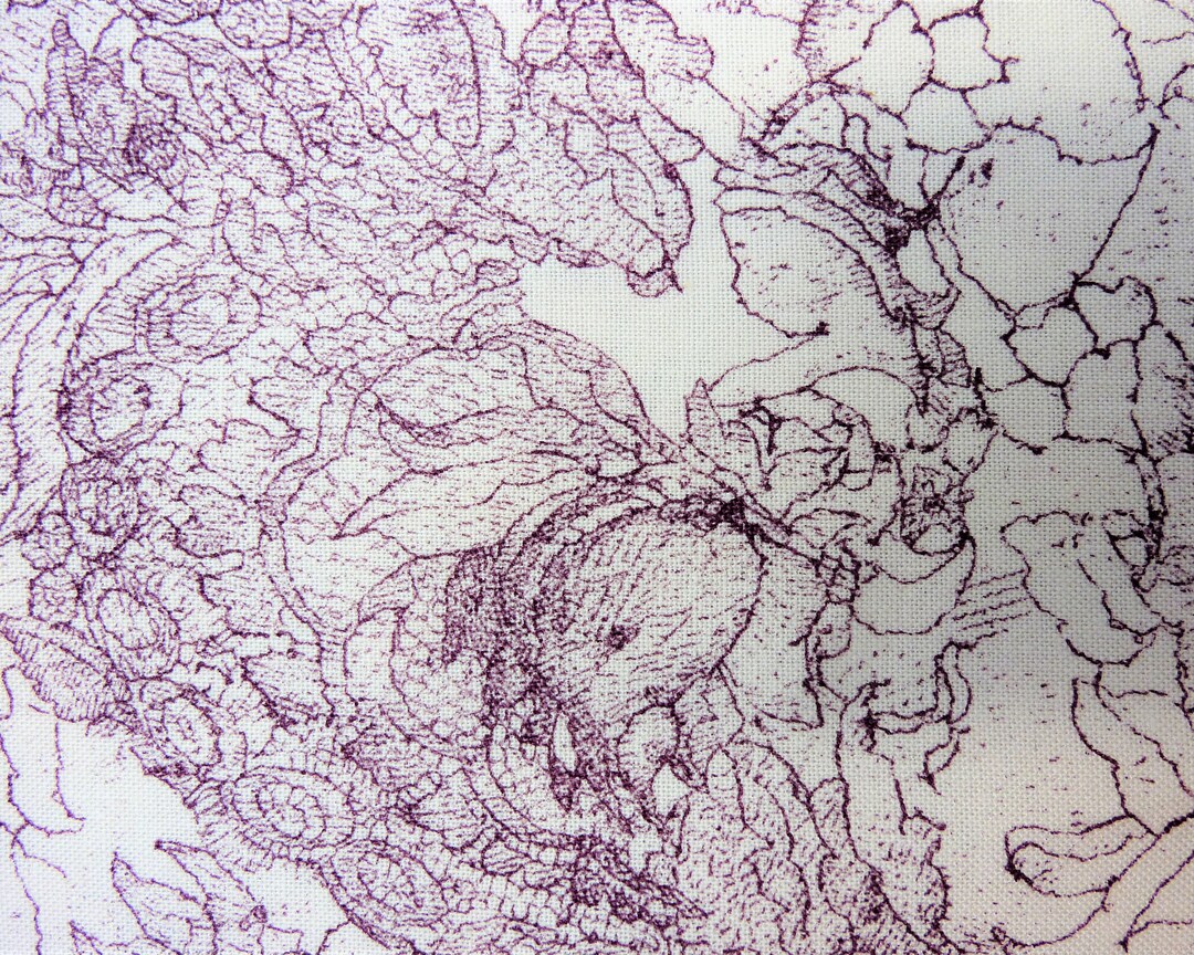 Abstract Seed Pod Fabric by the Metre in Burgundy and White, Floral ...
