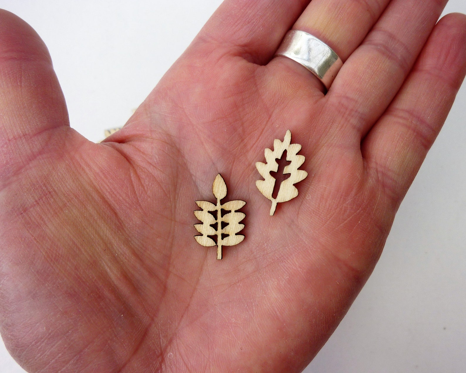 Autumn Fall Garden Themed Wooden Shapes 45 Laser Cut Card - Etsy UK