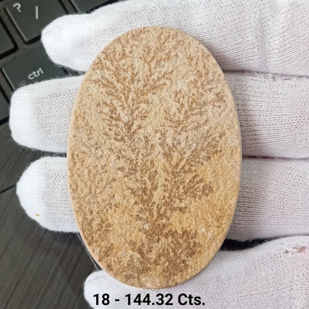 Germany Psilomelane Dendrite, Tree Patterns, for Nature Lovers ...