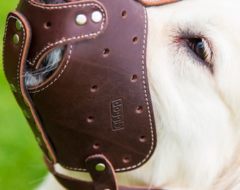 Smuzzle: A soft muzzle that lets your dog Smile