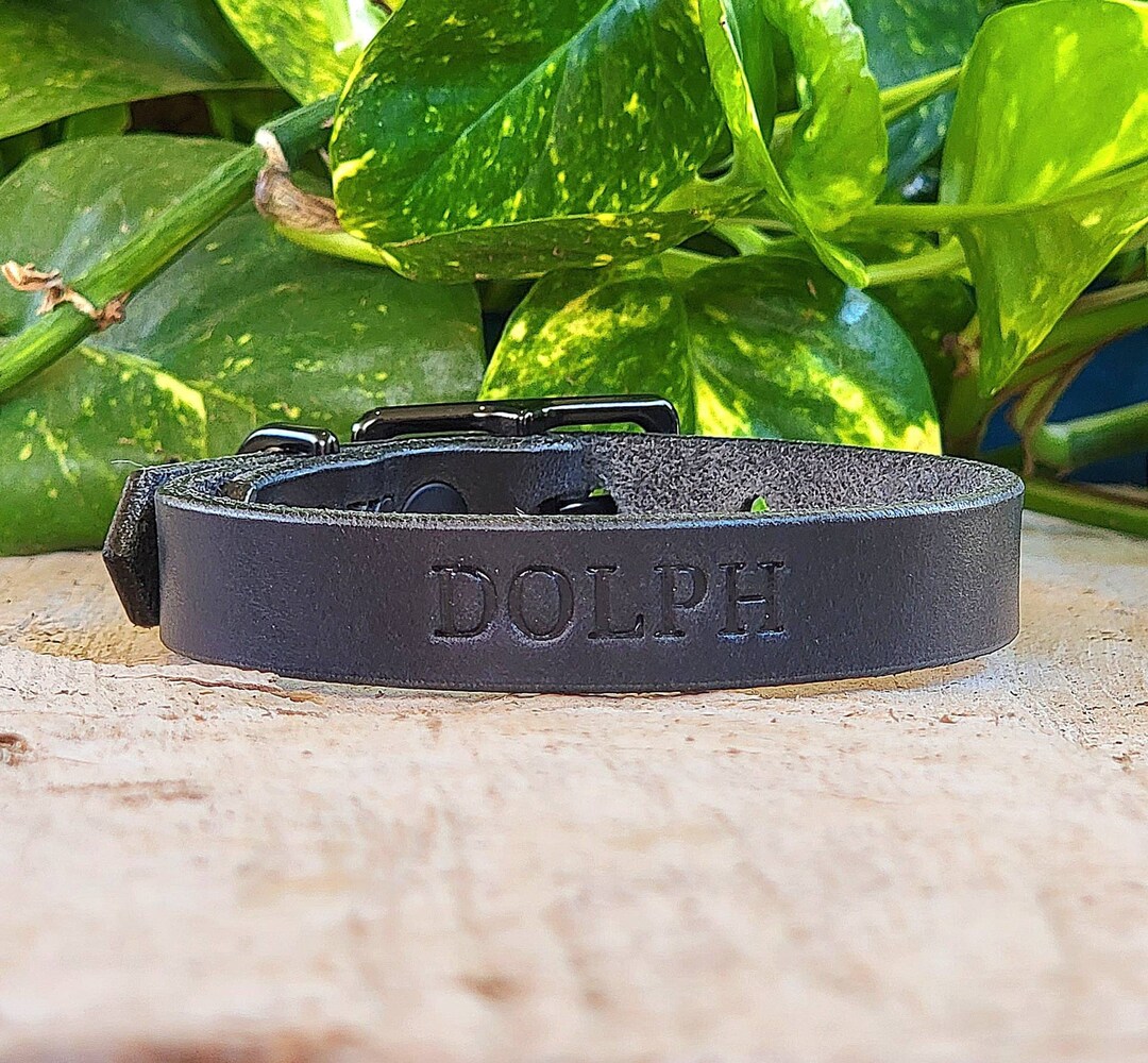 Petite Pup Delight, Toy Size Dog Collars, 5/8 Stamped Collar for Tiny ...