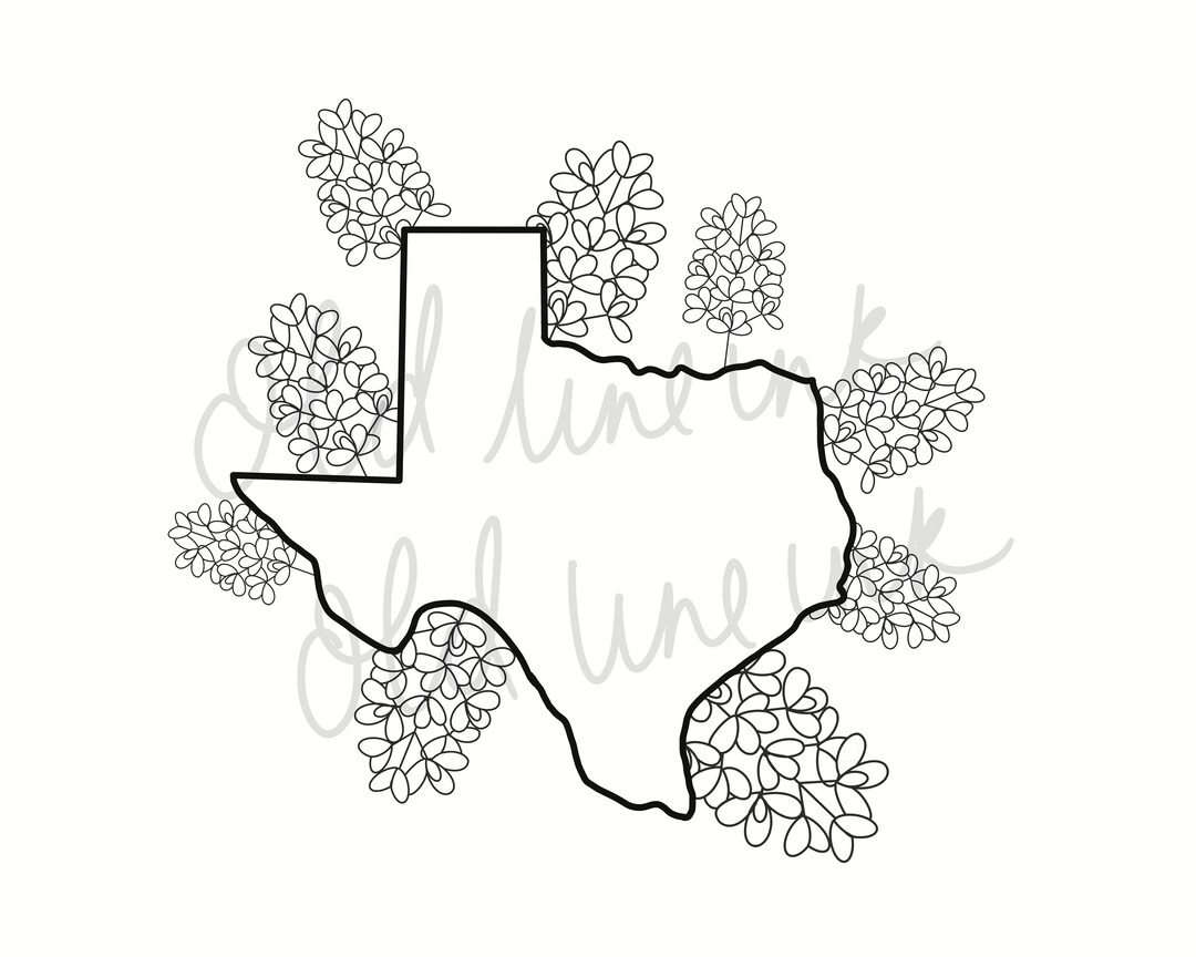 Texas State Floral Outline - Digital Download - Etsy