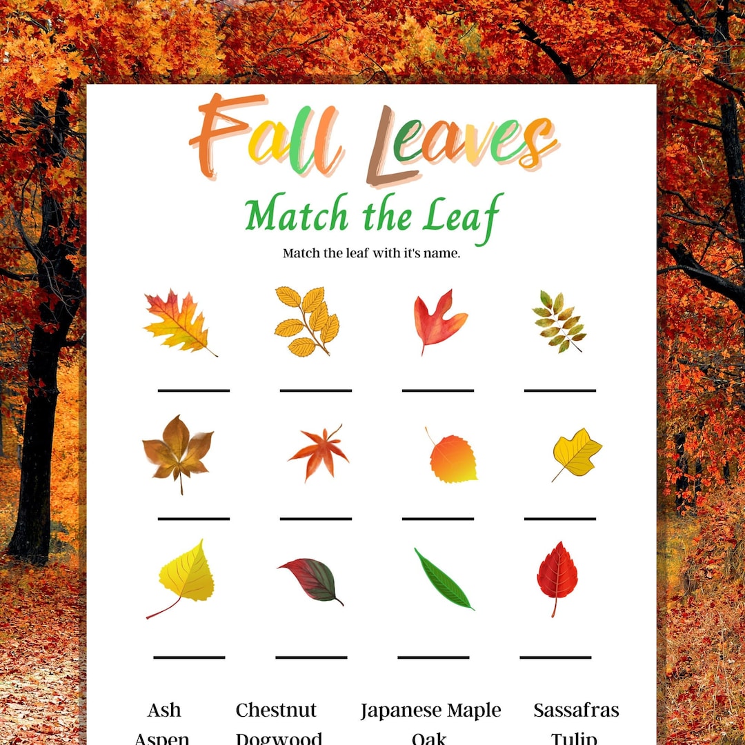 Fall Match the Leaf Game Printable Autumn Game Leaf Trivia - Etsy