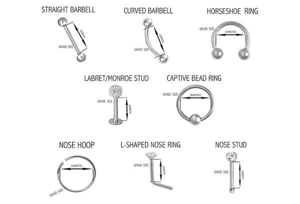 8G 10G Male Genital Horseshoe Circular Double Doorknocker Jewelry ...