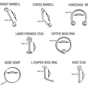 Male Genital Door Knocker Reverse Prince Albert PA Jewelry 14 - Etsy