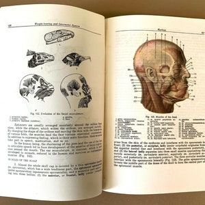 Human Anatomy Vol. 1 Soviet English Edition Hardcover Prives - Etsy