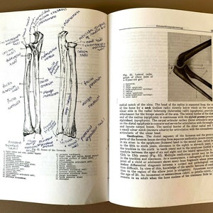 Human Anatomy Vol. 1 Soviet English Edition Hardcover Prives - Etsy