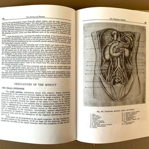 Human Anatomy Vol. 1 Soviet English Edition Hardcover Prives - Etsy