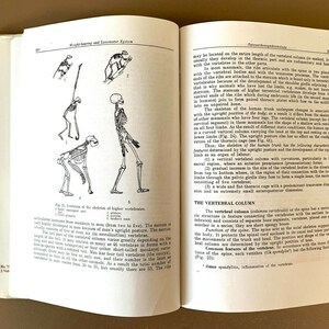 Human Anatomy Vol. 1 Soviet English Edition Hardcover Prives - Etsy
