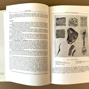 Human Anatomy Vol. 1 Soviet English Edition Hardcover Prives - Etsy