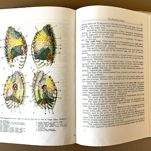 Human Anatomy Vol. 1 Soviet English Edition Hardcover Prives - Etsy