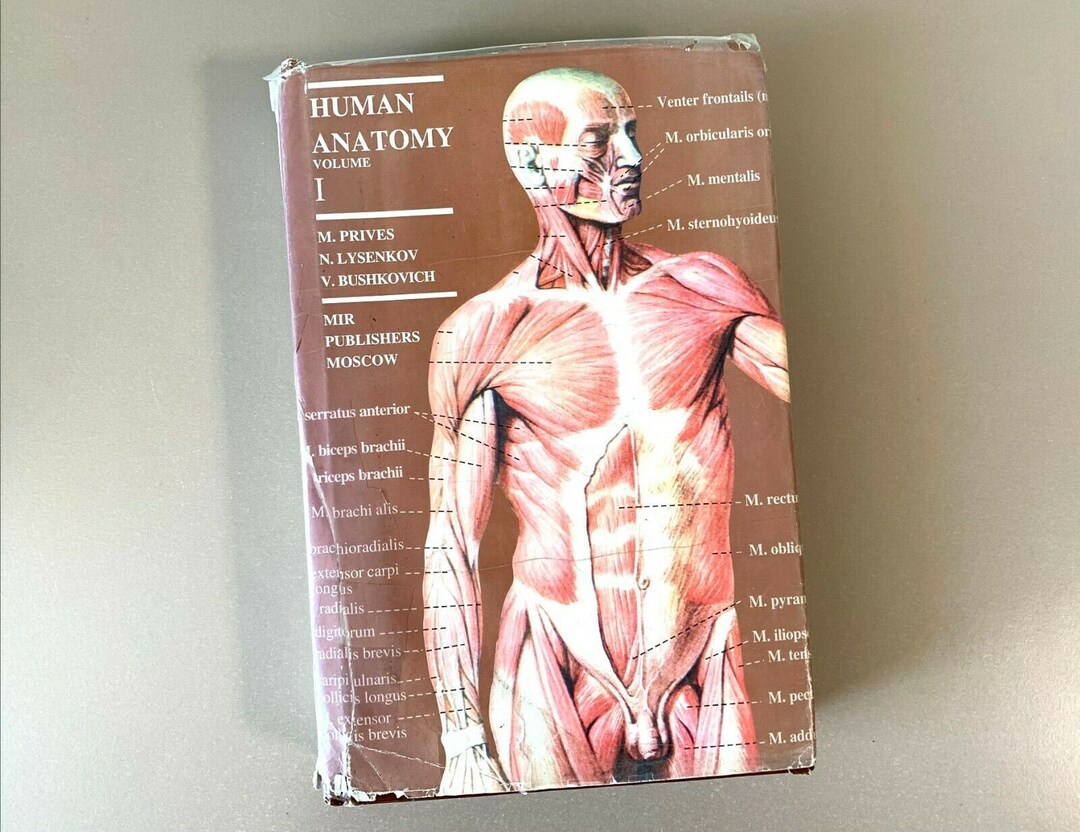 Human Anatomy Vol. 1 Soviet English Edition Hardcover Prives - Etsy