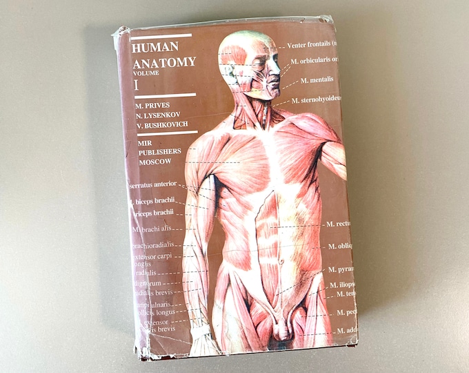 Human Anatomy Vol. 1 Soviet English Edition - Hardcover Prives Lysenkov ...