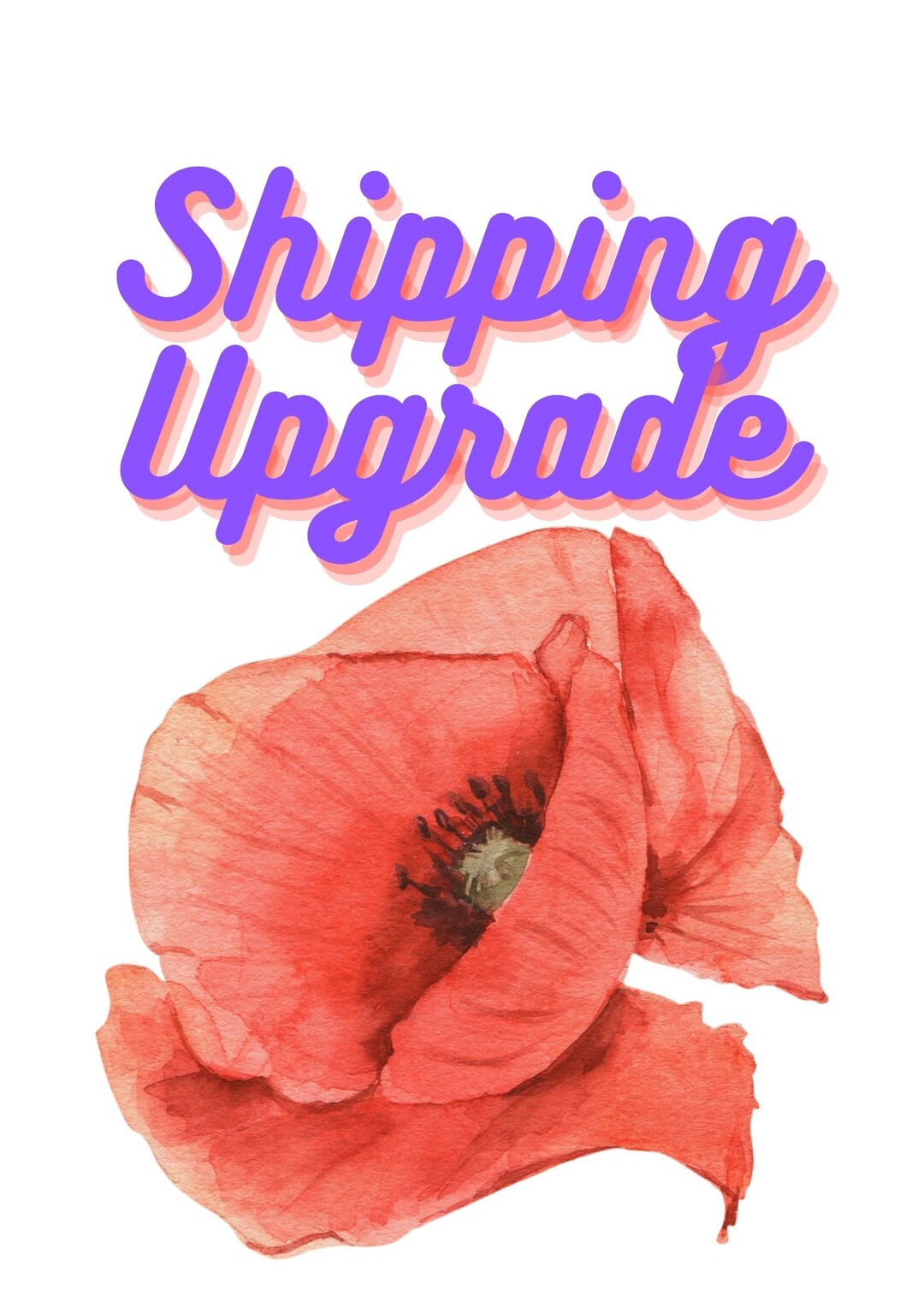 Express Shipping Upgrade - Etsy