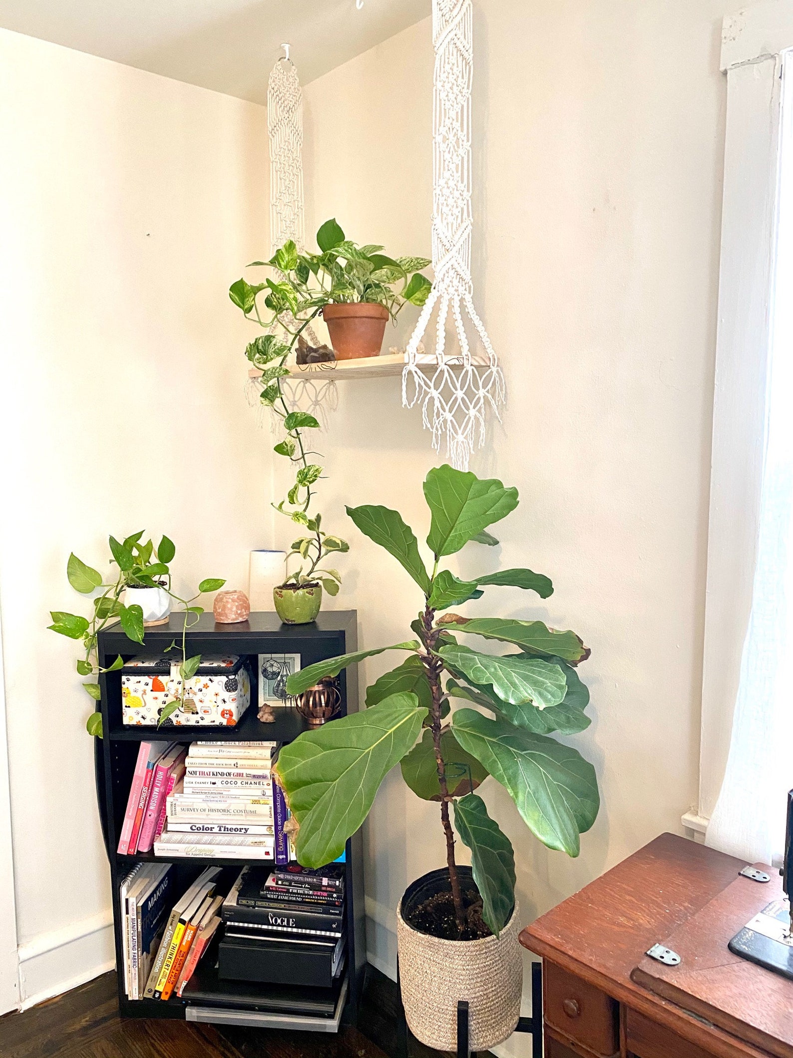 macrame-monstera-hanging-plant-shelf-rustic-boho-decor-etsy