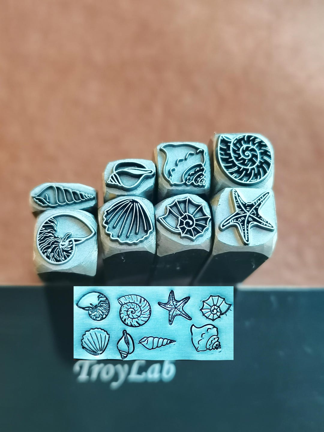 Sea Shell Starfish Ammonite Metal Stamp Ocean Living Punch Jewelry ...