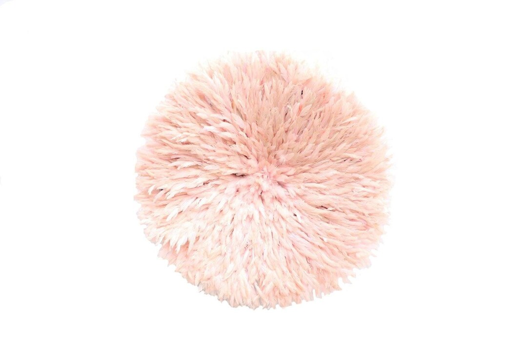 Handmade Blush Juju Hat: Feather Wall Decor - Etsy