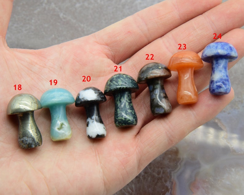 37 Kinds of 1 Inch Mushroom Gemstone Decorcrystal/rose - Etsy