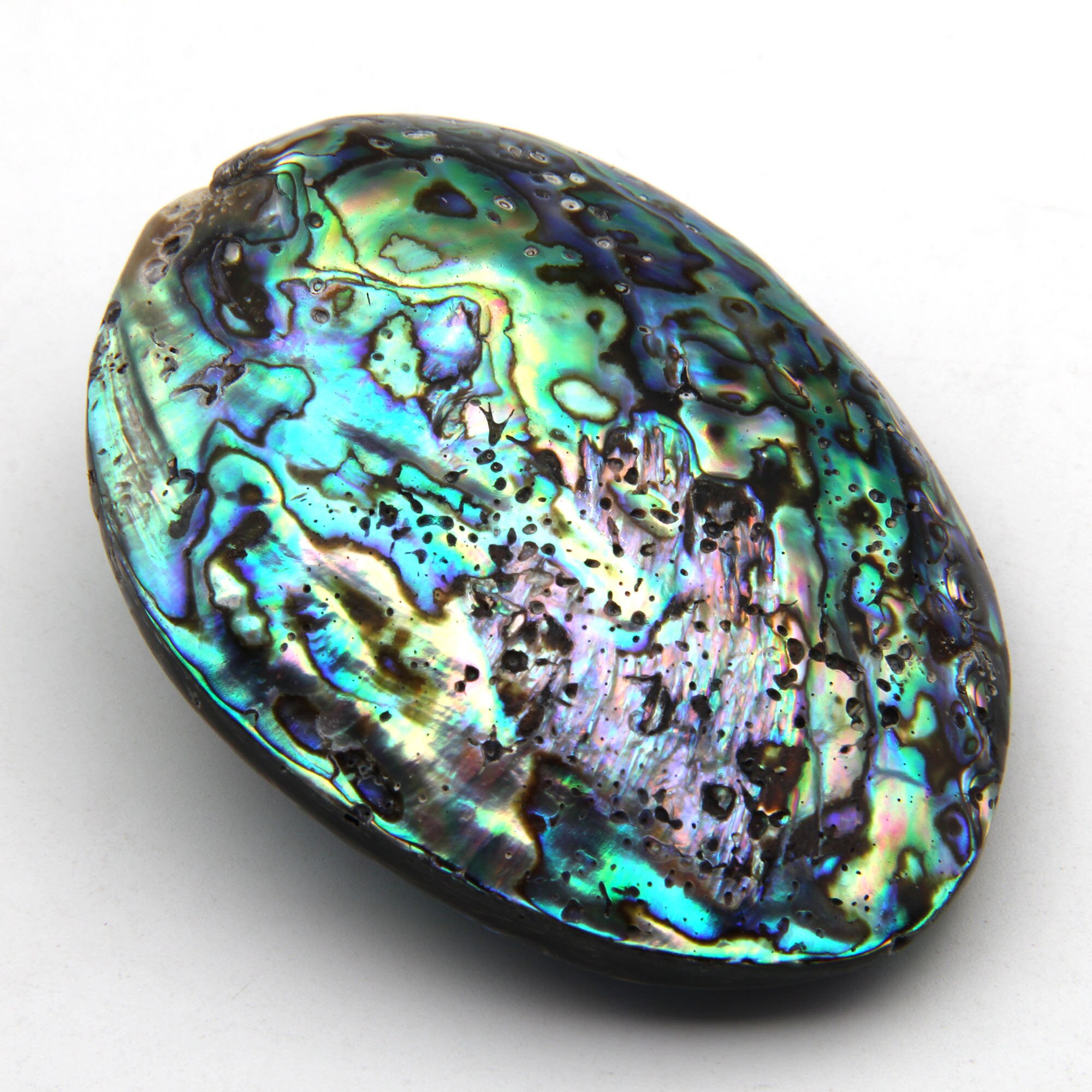 Natural Abalone Shell Pendantslarge Size Shell | Etsy