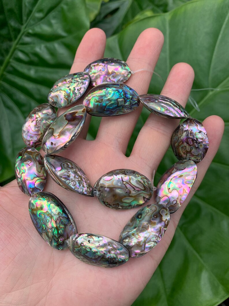 15 Inch Full Strand Abalone Shell Beadsnatural Abalone Shell | Etsy
