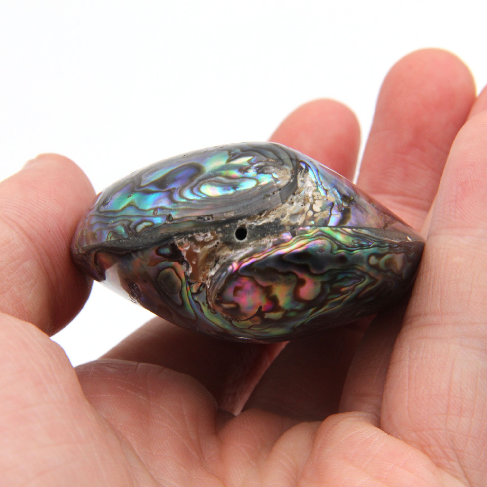 Natural Abalone Shell Pendantslarge Size Shell | Etsy