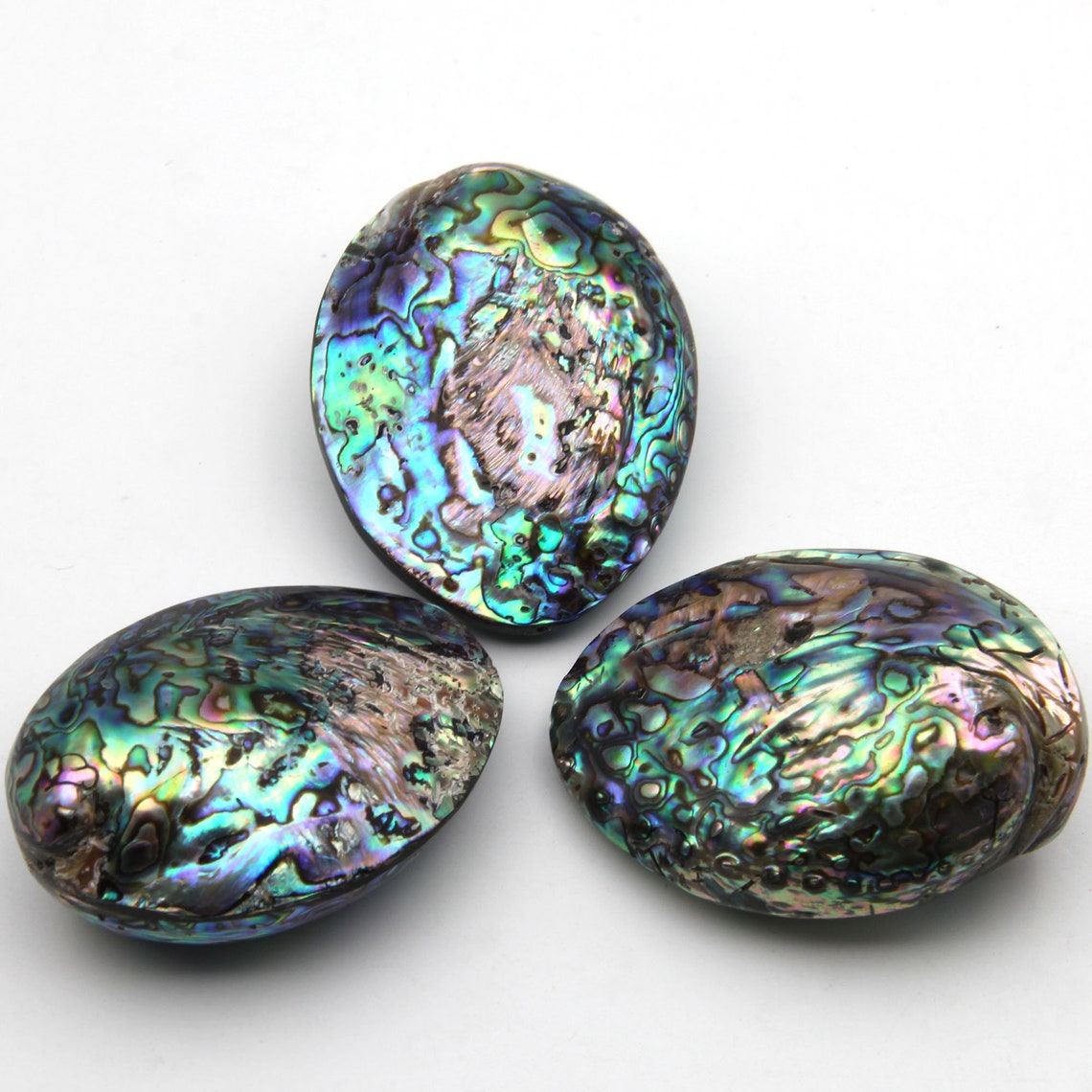 Natural Abalone Shell Pendantslarge Size Shell | Etsy