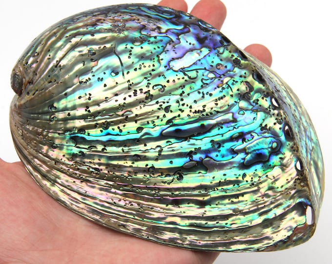 Vintage Blown Glass Sea Shell Beaded Christmas Ornament Teal Blue PB178 ...