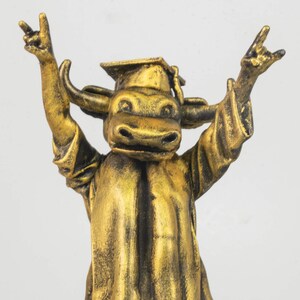 Custom Name & Year, Personalized Graduation Bevo Hook'em University of ...