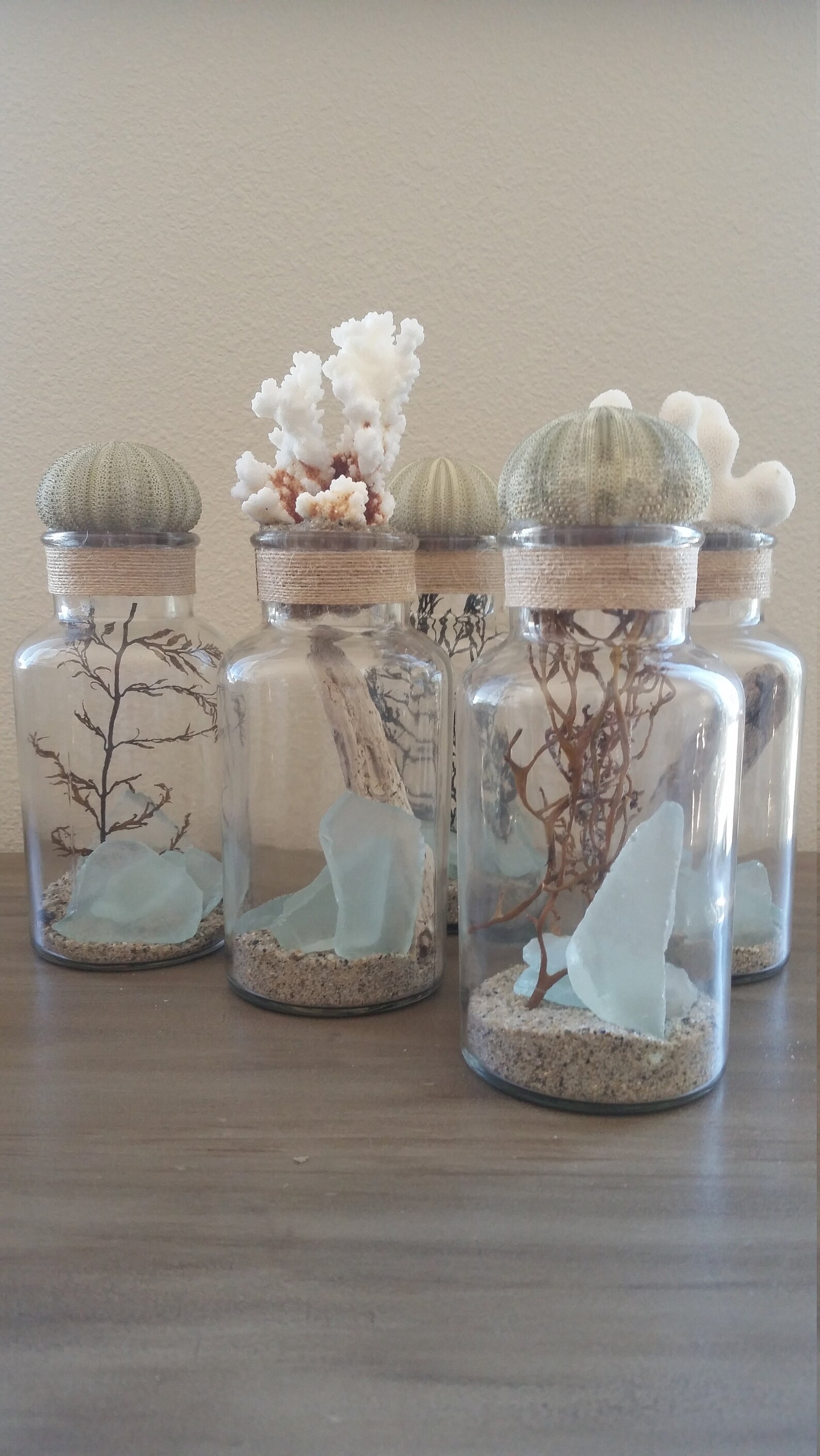 Beach Bottles in Crate Beach Bottlesbottles With Shells - Etsy