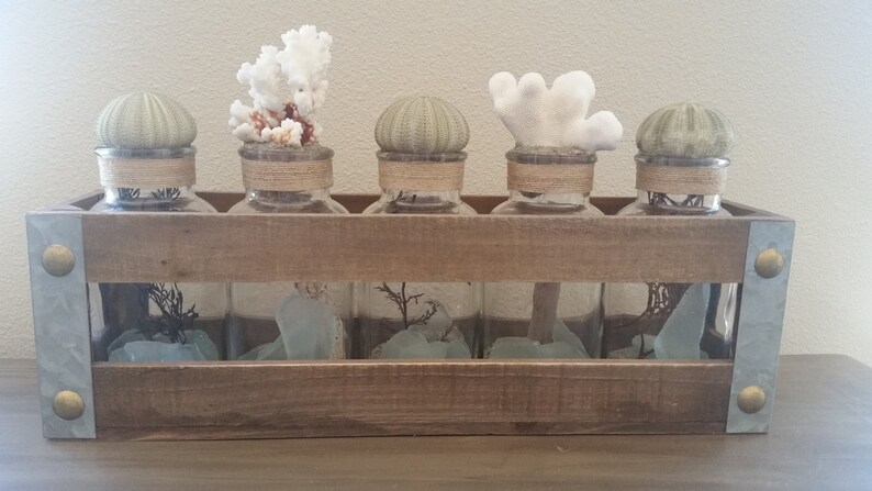 Beach Bottles in Crate Beach Bottlesbottles With Shells - Etsy