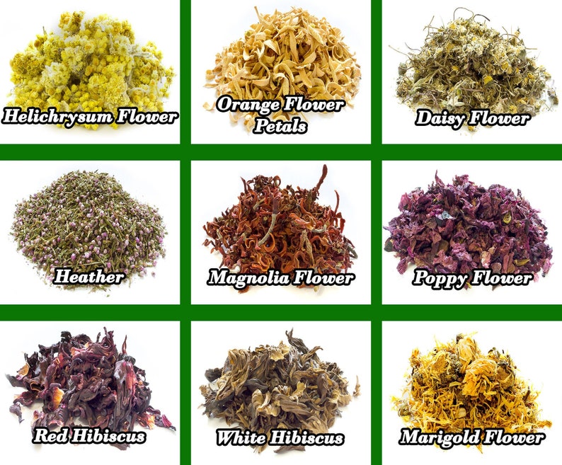 62 Types Dried Flowers 10g 50g Dried Petals Tincture - Etsy