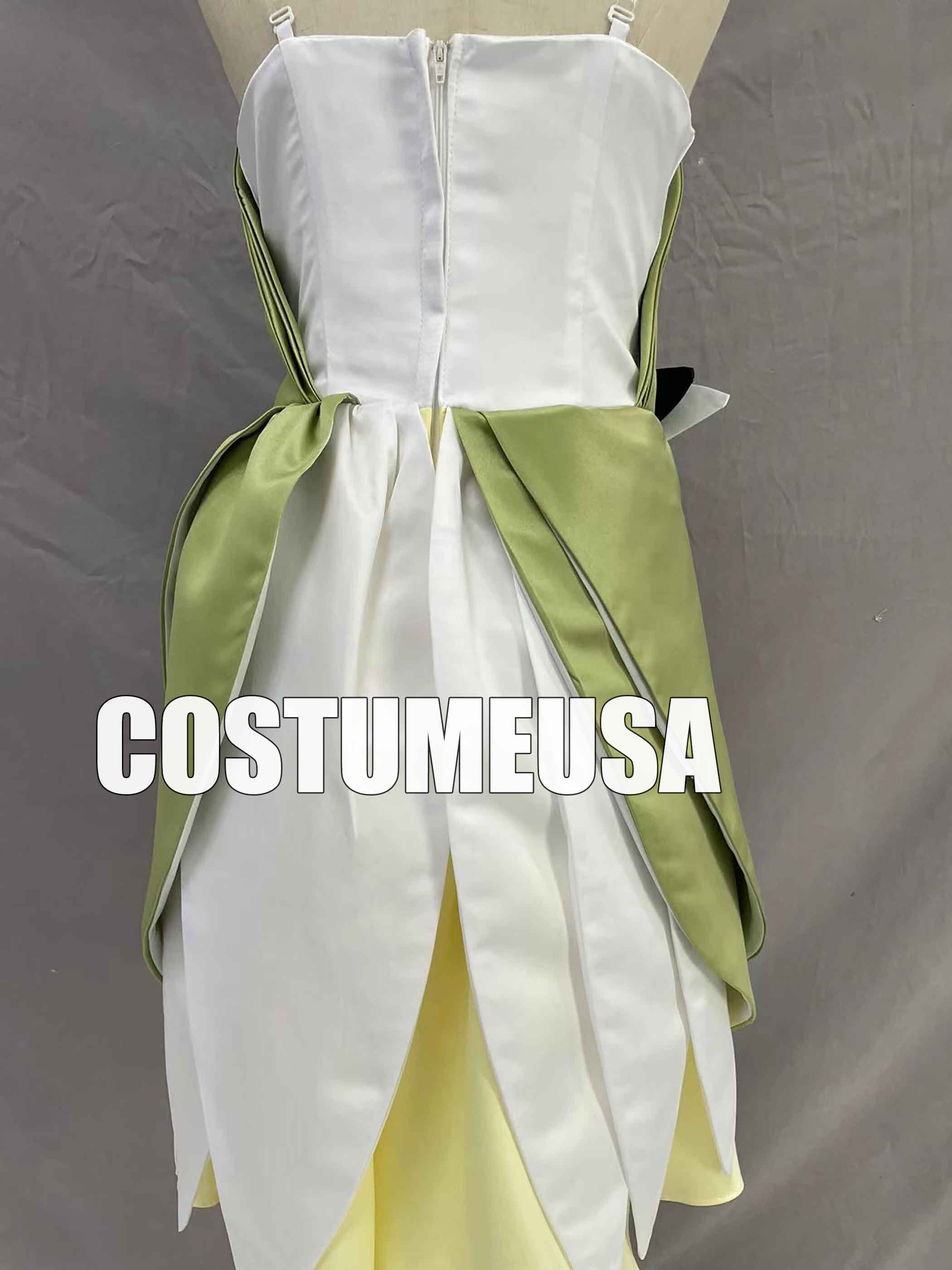Princess Tiana Dress Princess and the Frog Tiana Dress Short Dance ...
