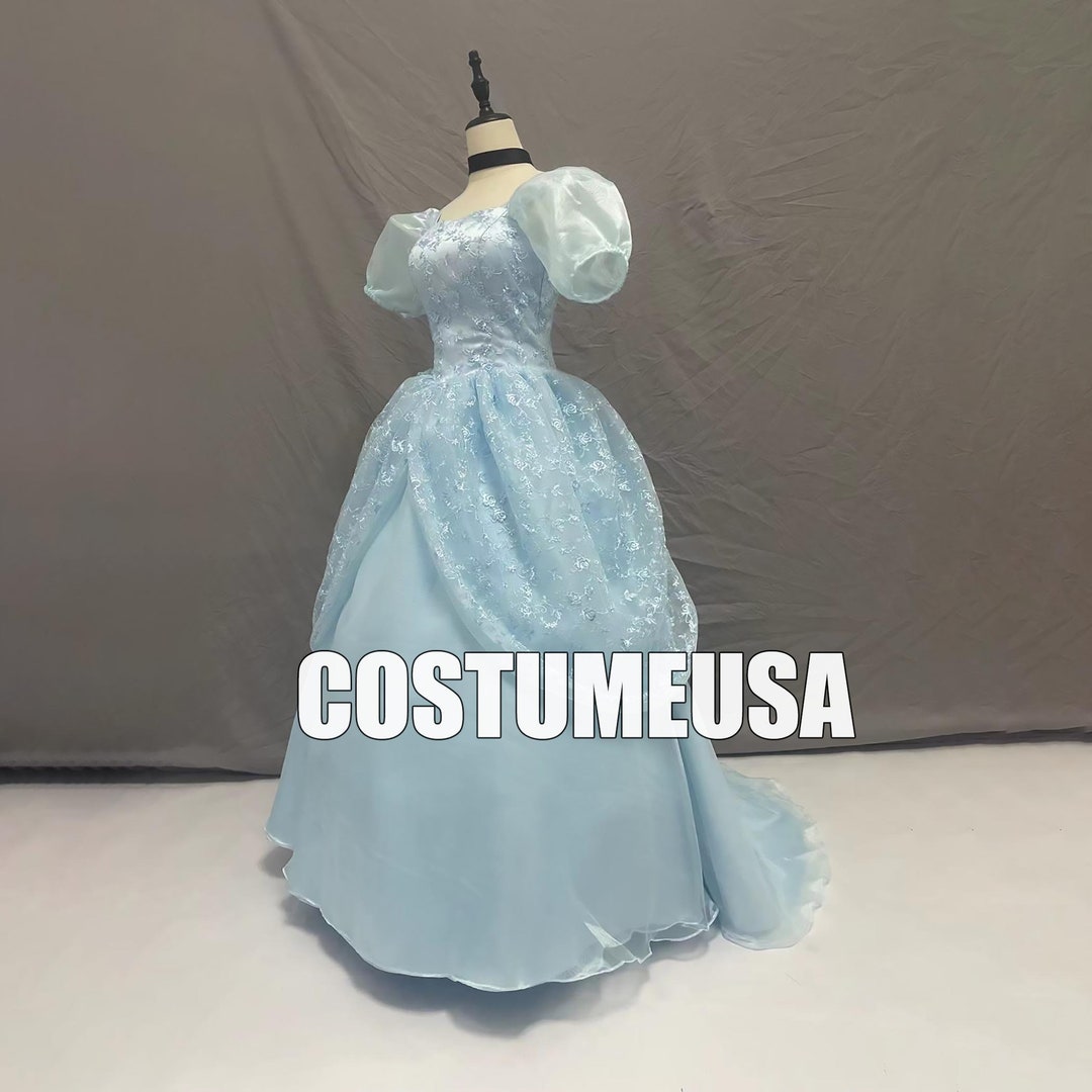 Custom Made Size Princess Cinderella Dress Cinderella Cosplay Costume ...